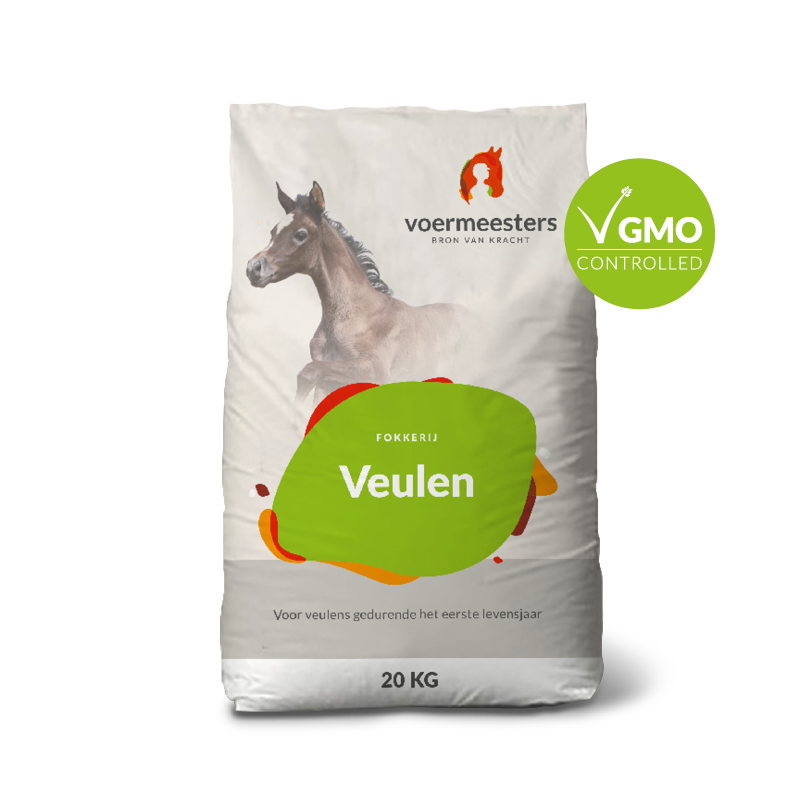 Veulen Clipart Paarden Canvasposter Silhouet Jongen Onder Boom